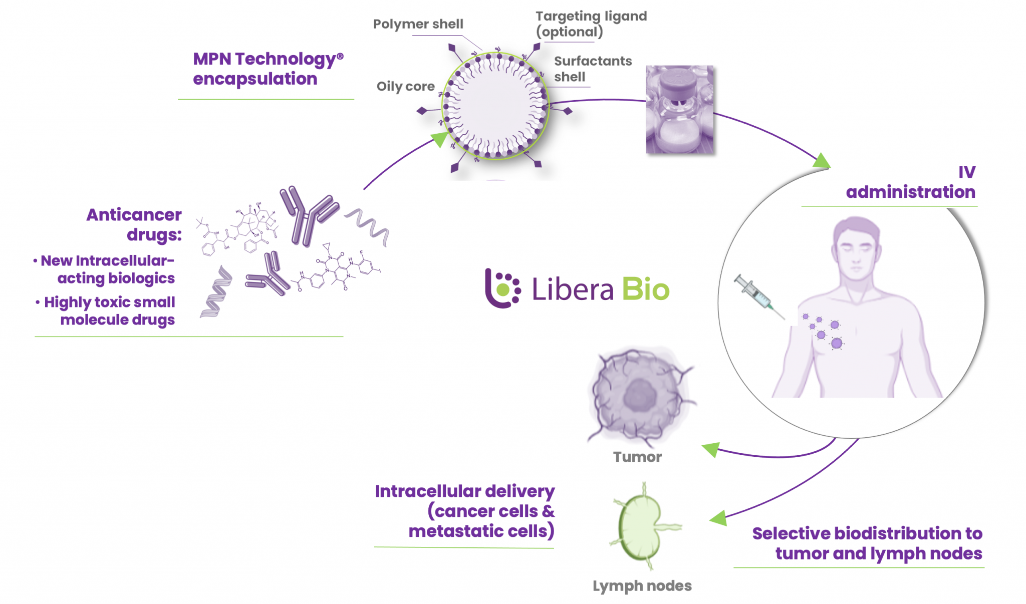 Libera Bio | Addressing undruggable intracellular targets in oncology